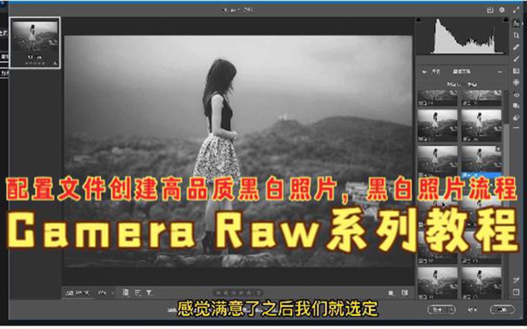 Camera Raw系列教程,使用配置文件创建高品质黑白照片,黑白照片的...