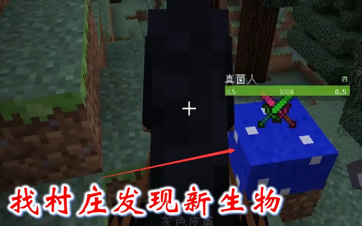 我的世界虚无世界59:主世界真的有村庄吗?我找了一天都没看到