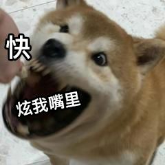 丷泡泡面 