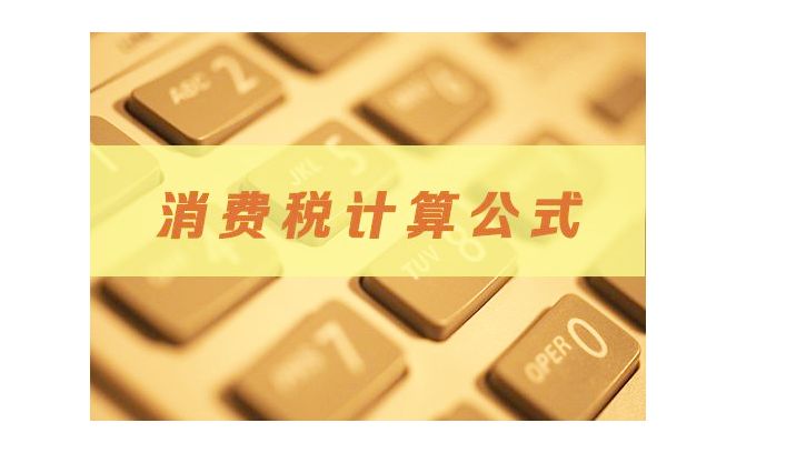 大白菜用一个真实的案例来讲解消费税的申报,有图有真相奥