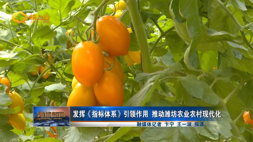 发挥《指标体系》引领作用 推动潍坊农业农村现代化