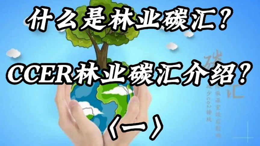 什么是林业碳汇?CCER林业碳汇介绍?
