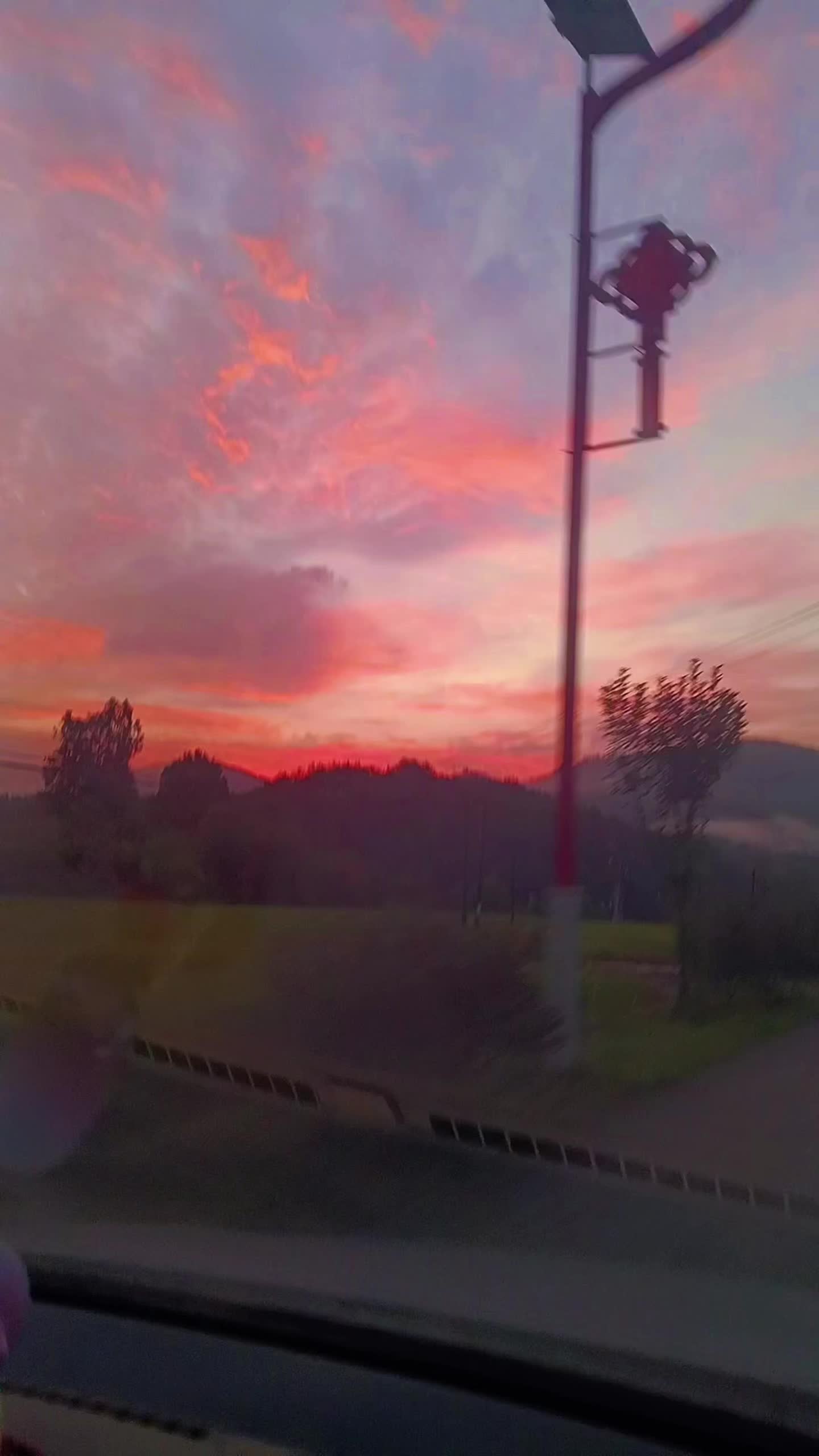 生活这趟车,有时会颠簸或迷茫,但请相信,总有一些不期而遇的温暖、...