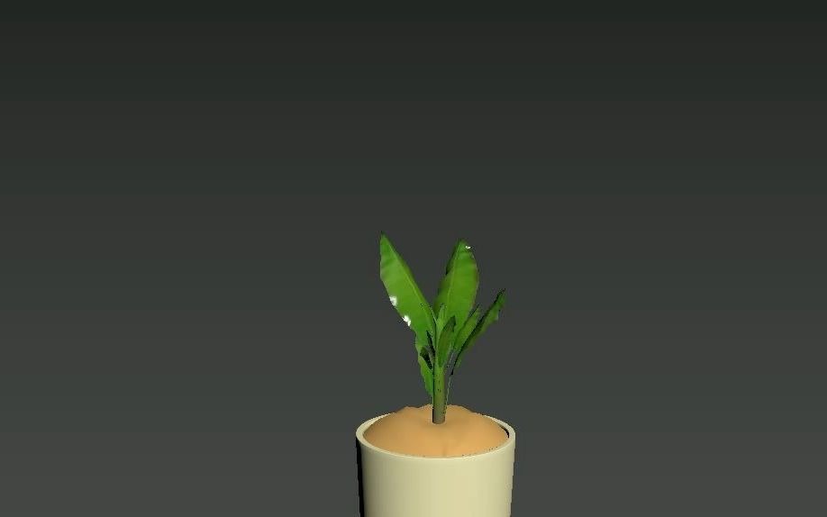 3Dmax 植物生长动画 骨骼绑定动画