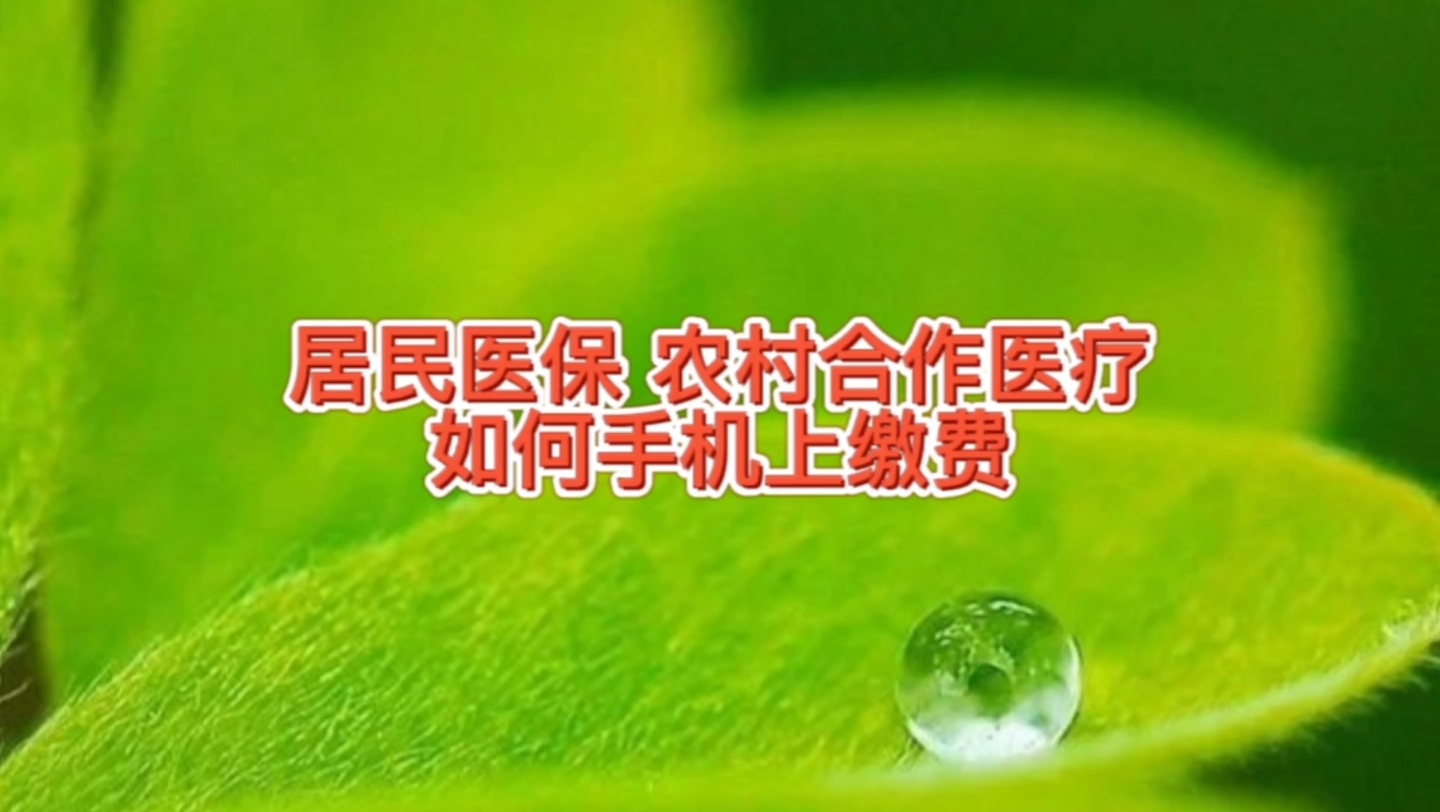 城镇居民医保,农村农民合作医疗如何手机上交费,这些人群有优惠