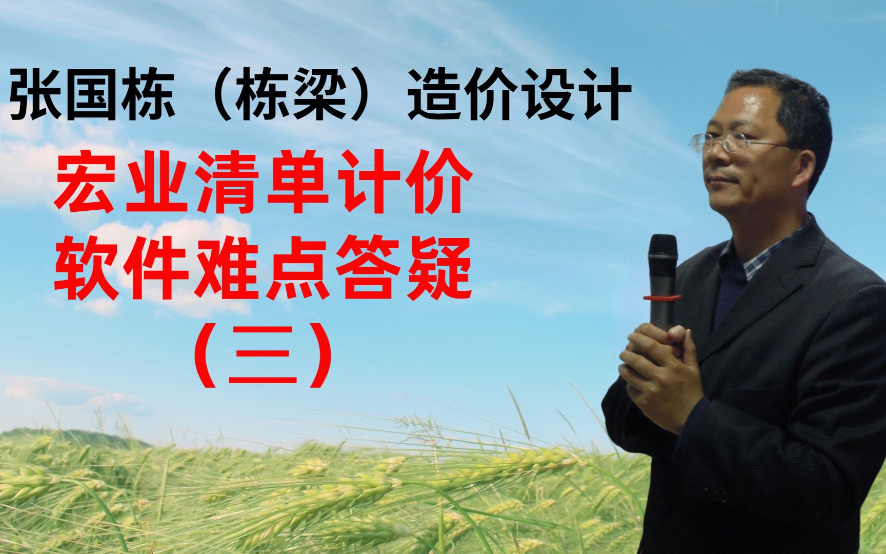 张国栋(栋梁)造价设计:宏业清单计价软件难点答疑(三)