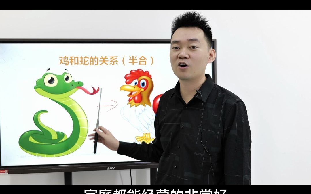 鸡和蛇的关系(半合)