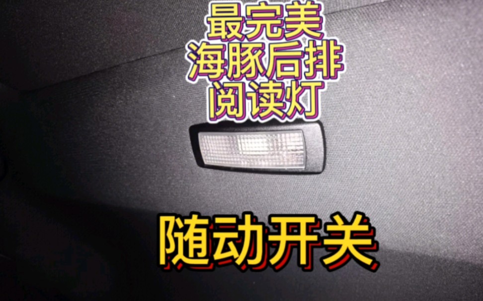 【有损改装】比亚迪海豚后排灯(不破线)