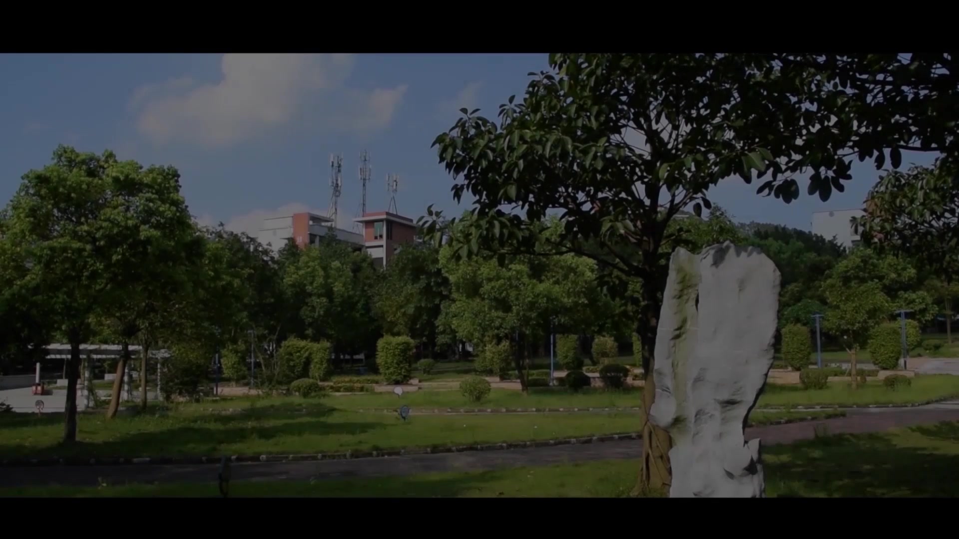 信息技术学院学生党支部换届大会