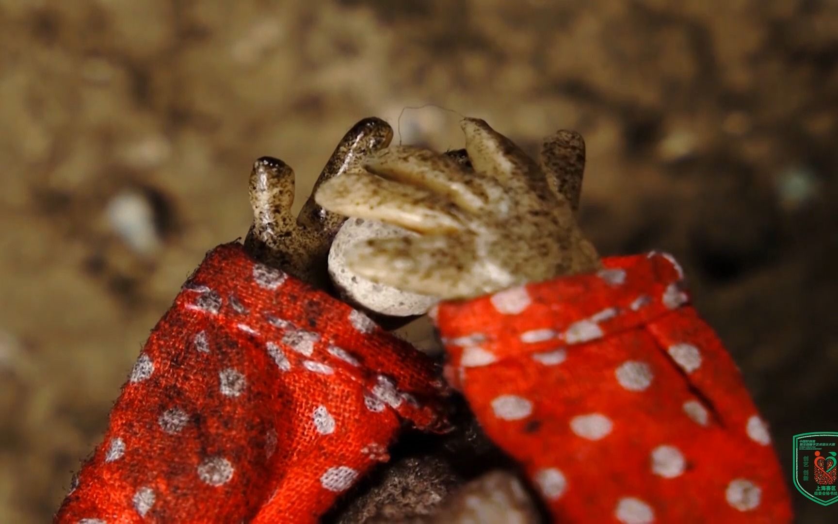 【数媒世界】 中国好创意大赛国赛动画影片组一等奖 《幸存》