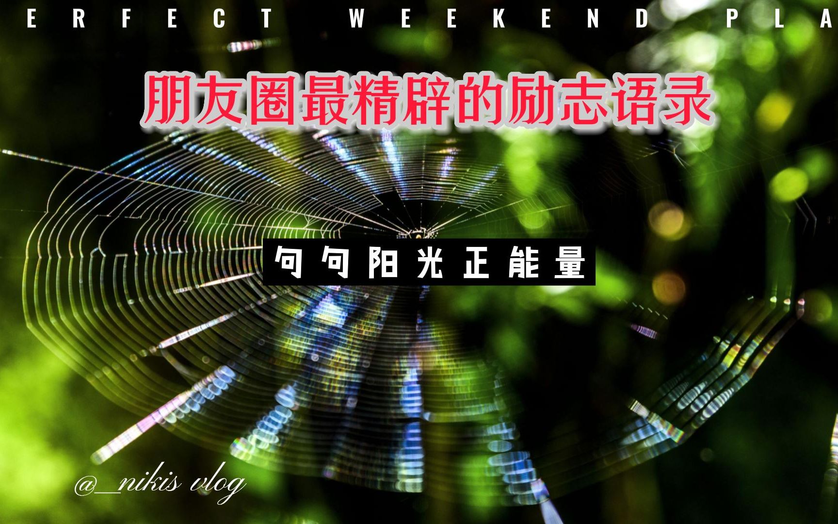 朋友圈最精辟的励志语录,句句阳光正能量!