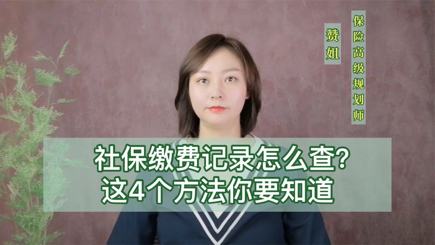 怎么查询社保缴费记录?这4个方法你要知道