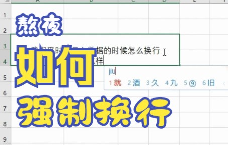Excel强制换行