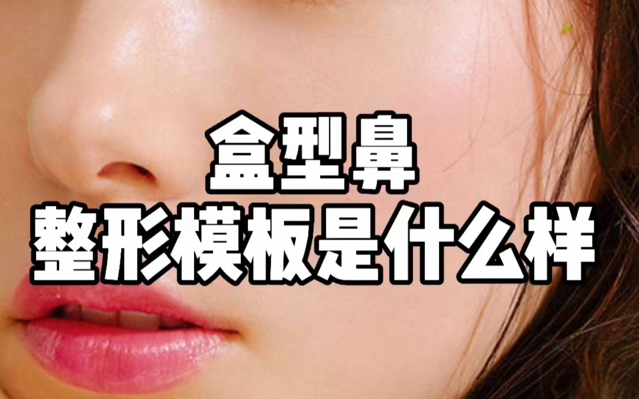 【整商】盒型鼻整形模板是什么样