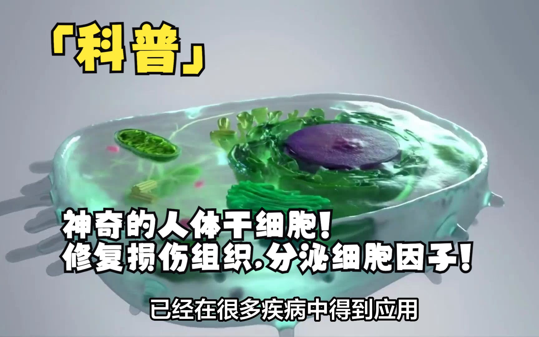 「科普」神奇的人体干细胞,修复损伤组织,分泌细胞因子!