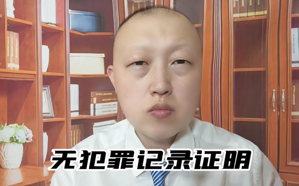 无犯罪记录证明