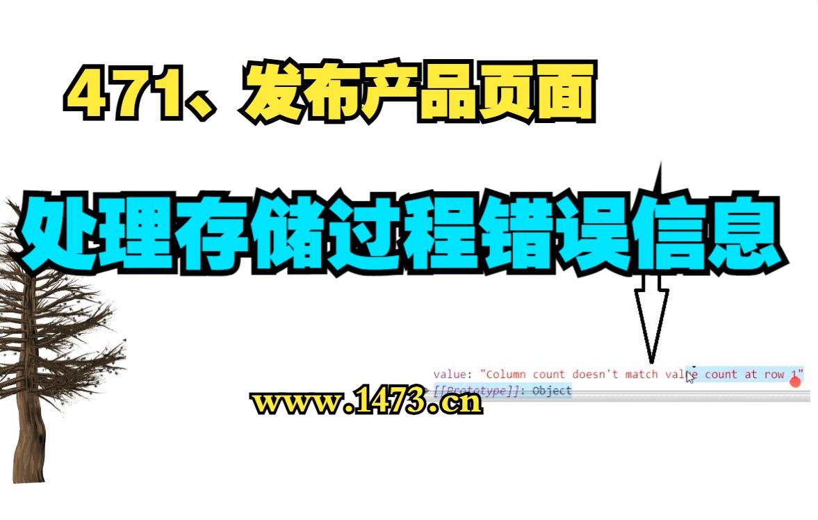 471、发布产品页面-处理存储过程错误信息