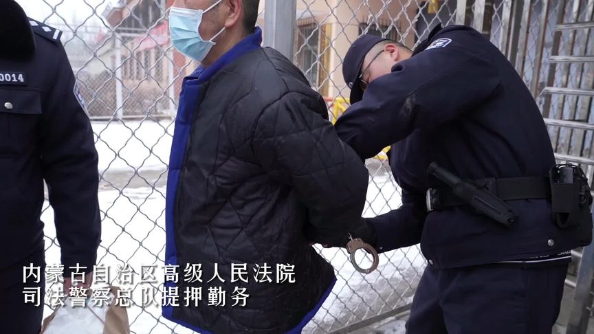 法网恢恢疏而不漏!提押到庭,接受审判! #法院 #案件报道