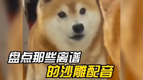 盘点那些离谱的沙雕配音简直一模一样