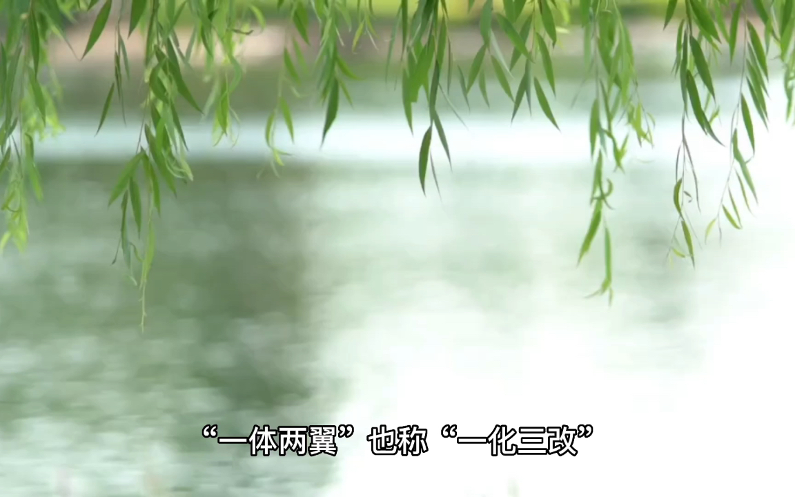 党史关键词——“一体两翼”(一化三改)