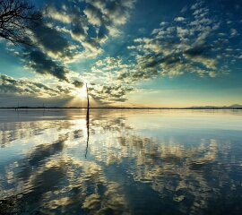 鲨鳍小翼减小诱导阻力 