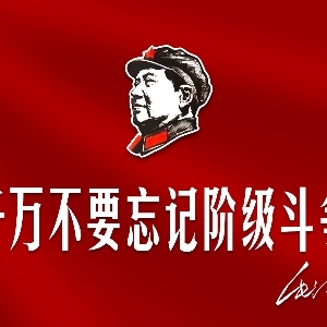 Bug无敌涛涛 