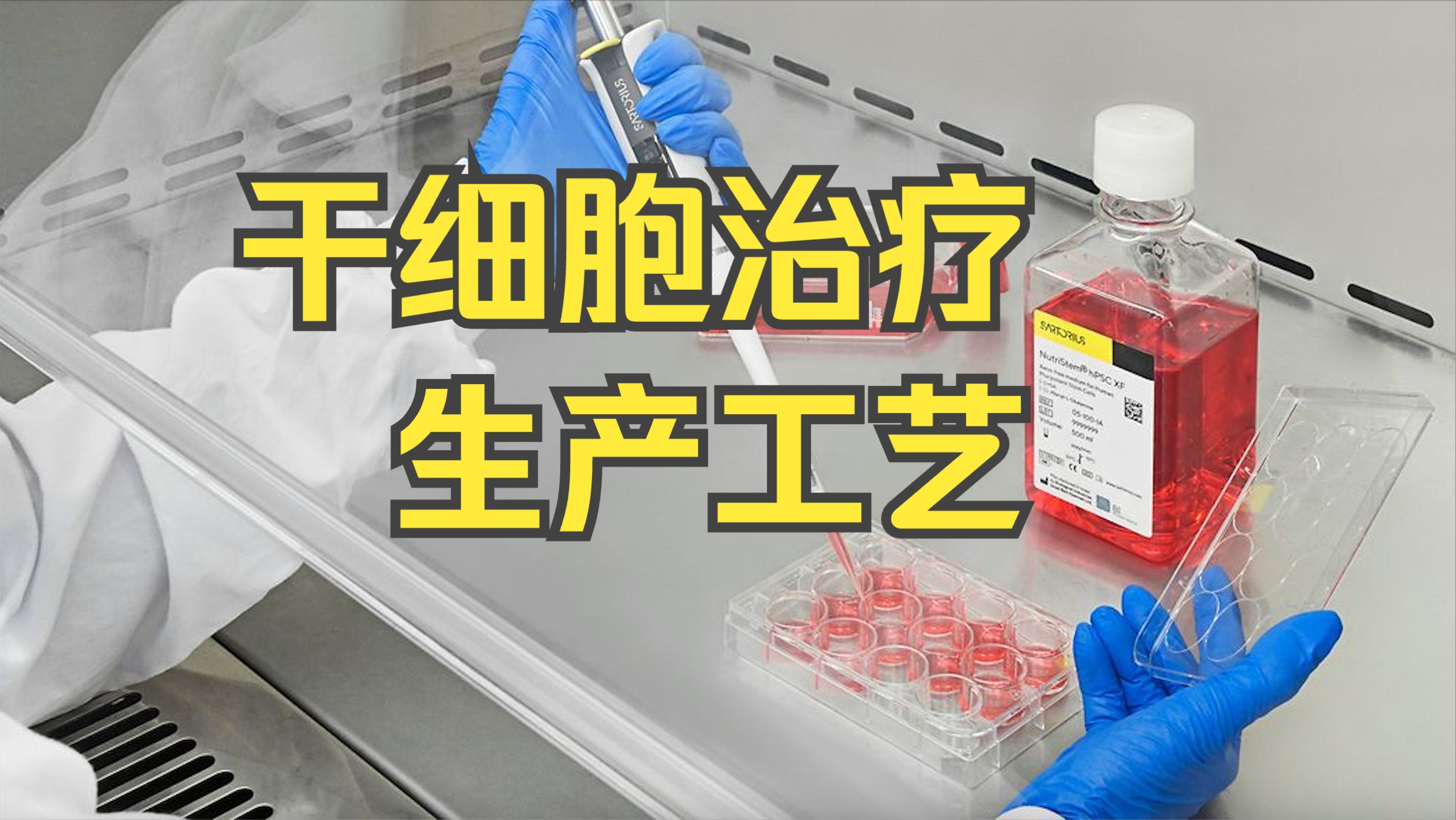 干细胞治疗:全流程生产工艺解析