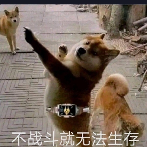该昵称出错无法使用 