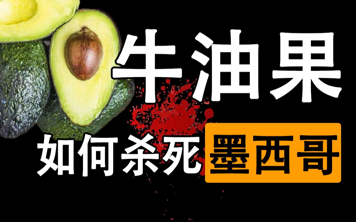 【科普】牛油果背后的腥风血雨|牛油果真的是营销骗局吗?