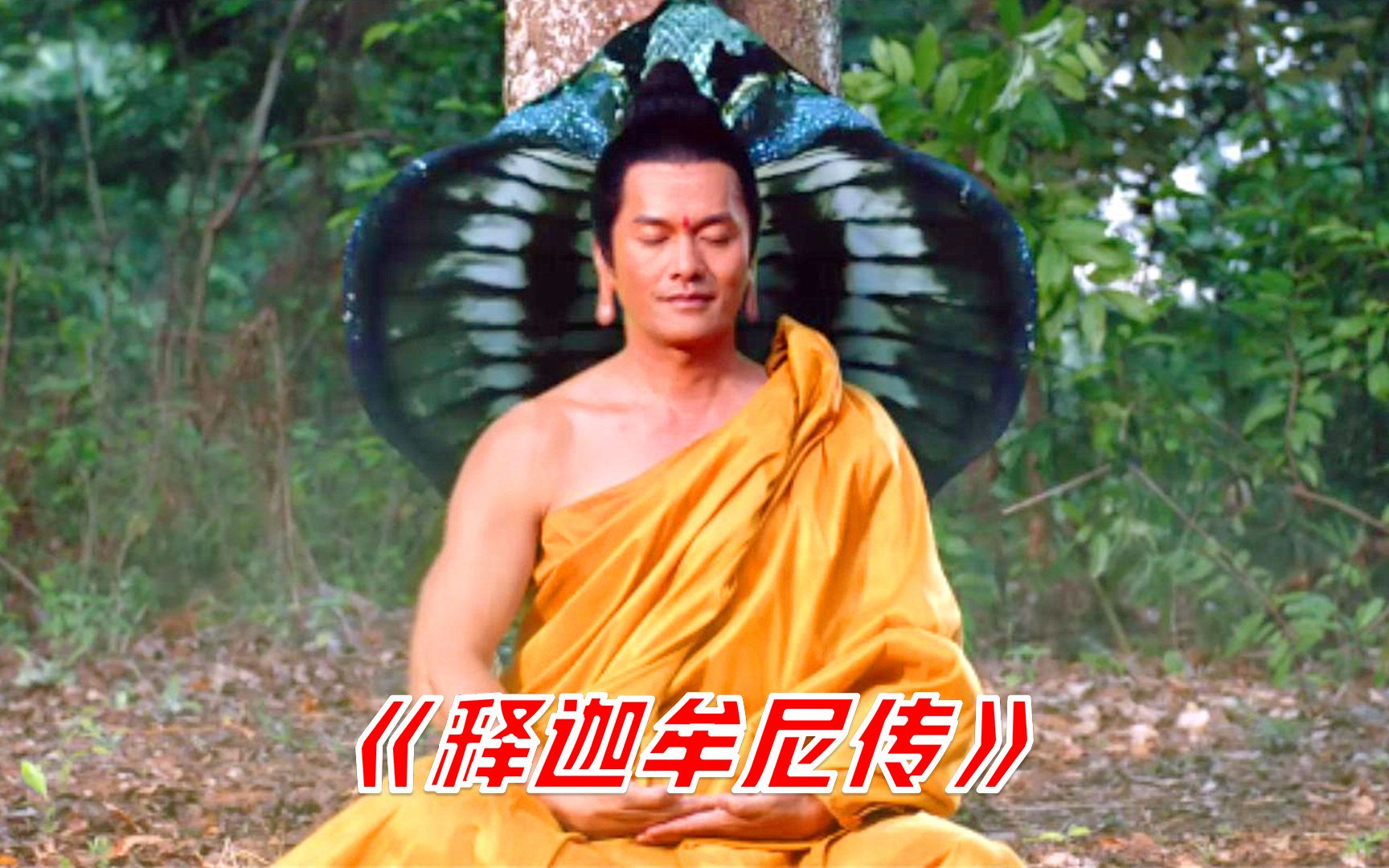 一部还原佛祖的电影,释迦摩尼菩提树下成佛,眼镜蛇赶来为他遮雨