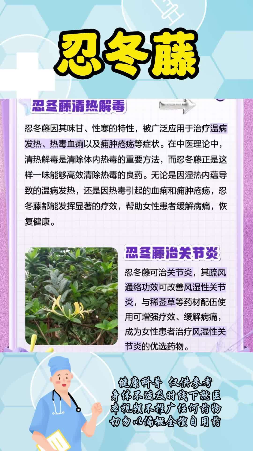 忍冬藤很多人可能对它不太了解,但它真的有很多神奇的功效哦!