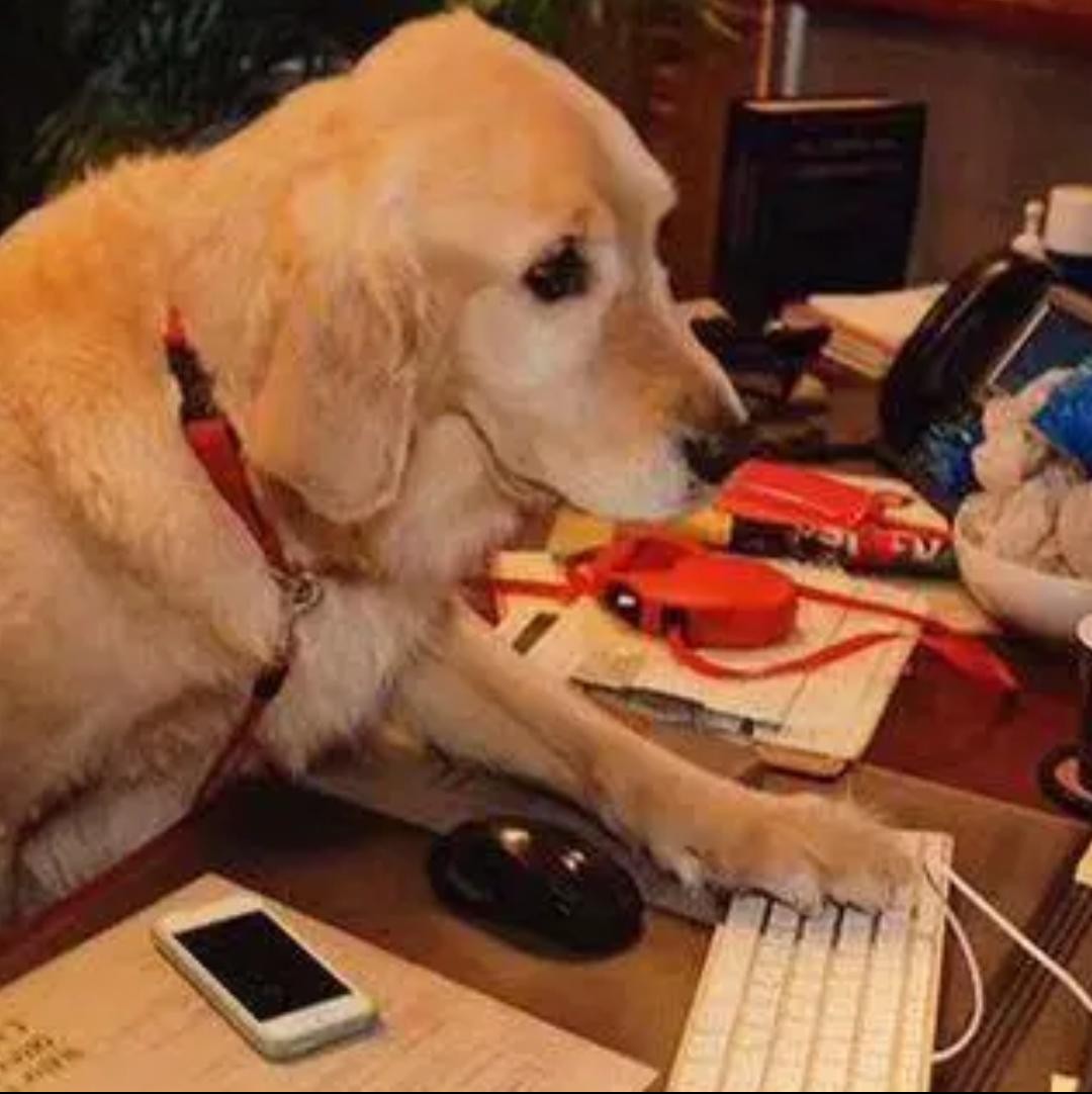 是烧钞票的火炬 