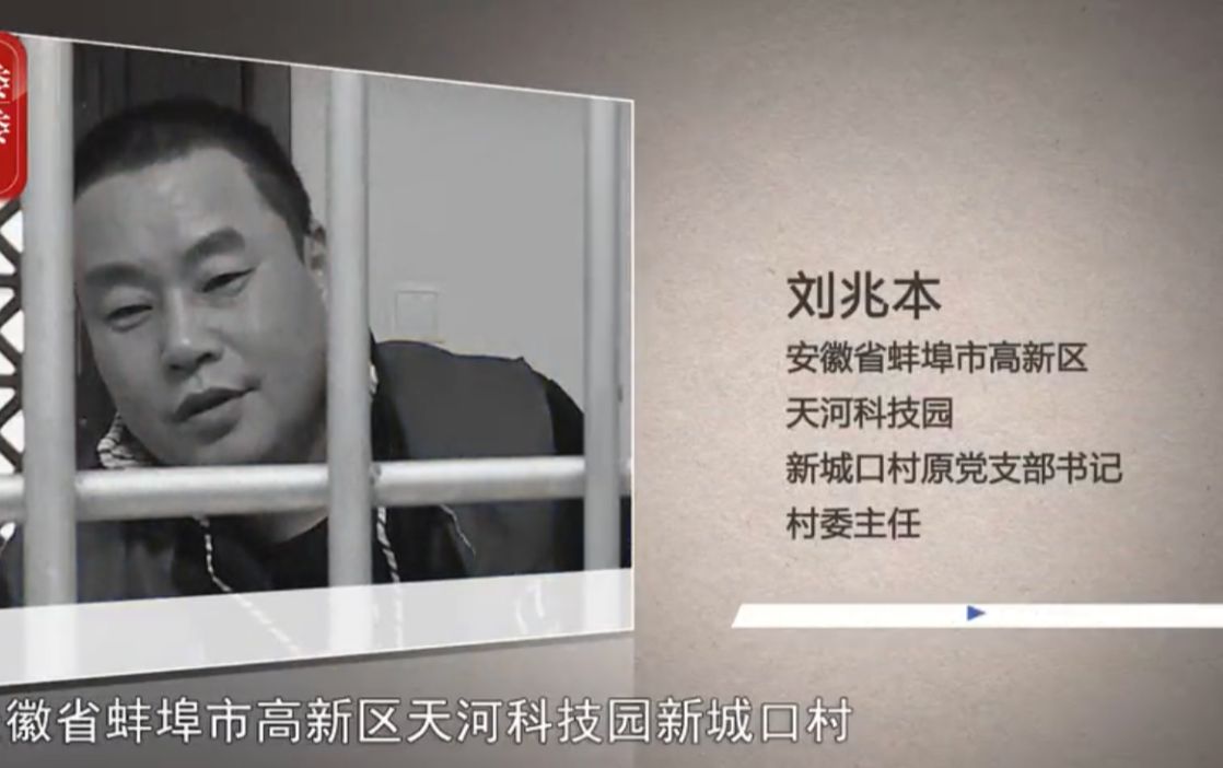 【警钟长鸣】安徽省蚌埠市高新区“刘氏兄弟”案