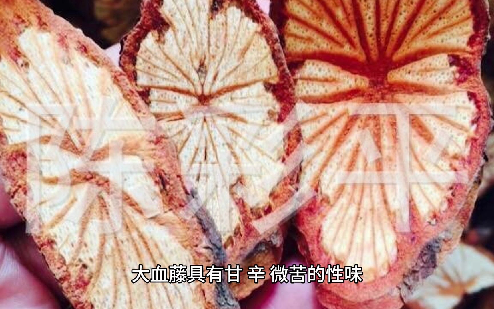 大血藤植物的特征以及用途,我们一起来认识一下它吧