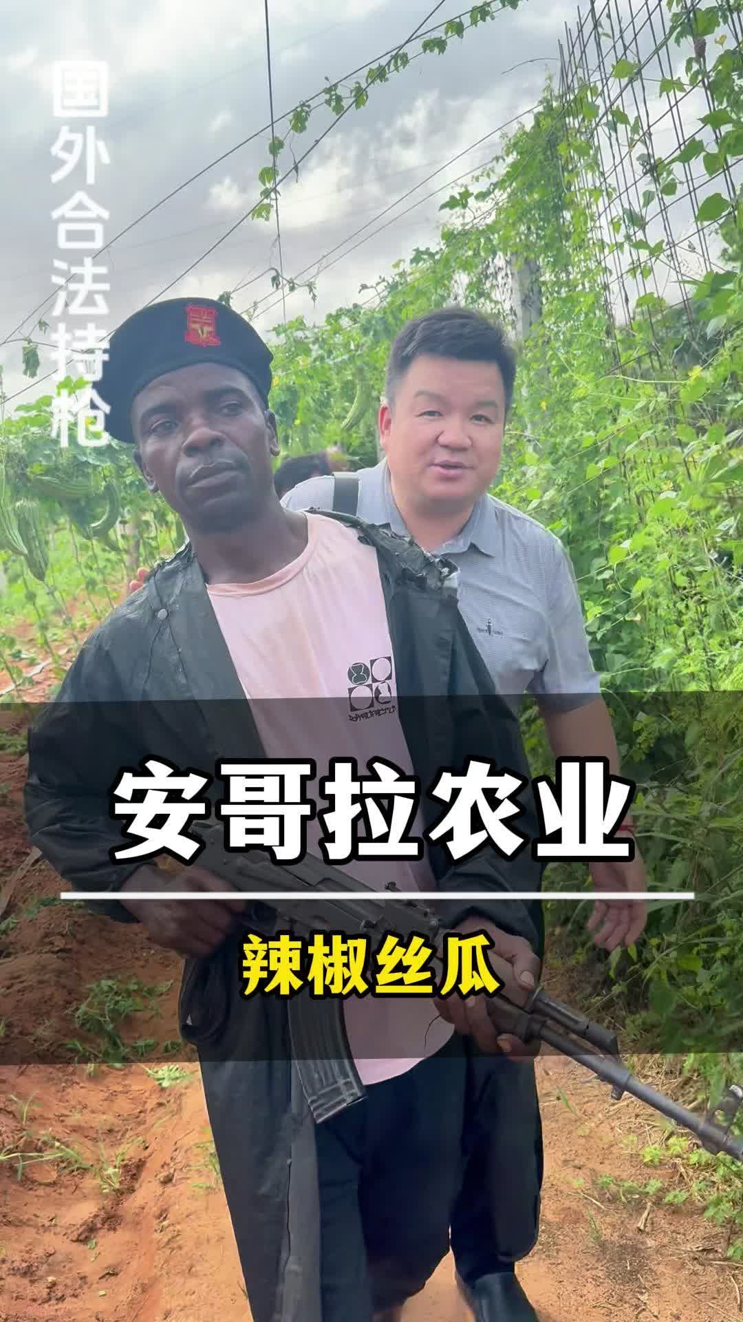 种地都有持枪保卫 安哥拉种地价格还不错,保安保护安全,二怕当地人偷...