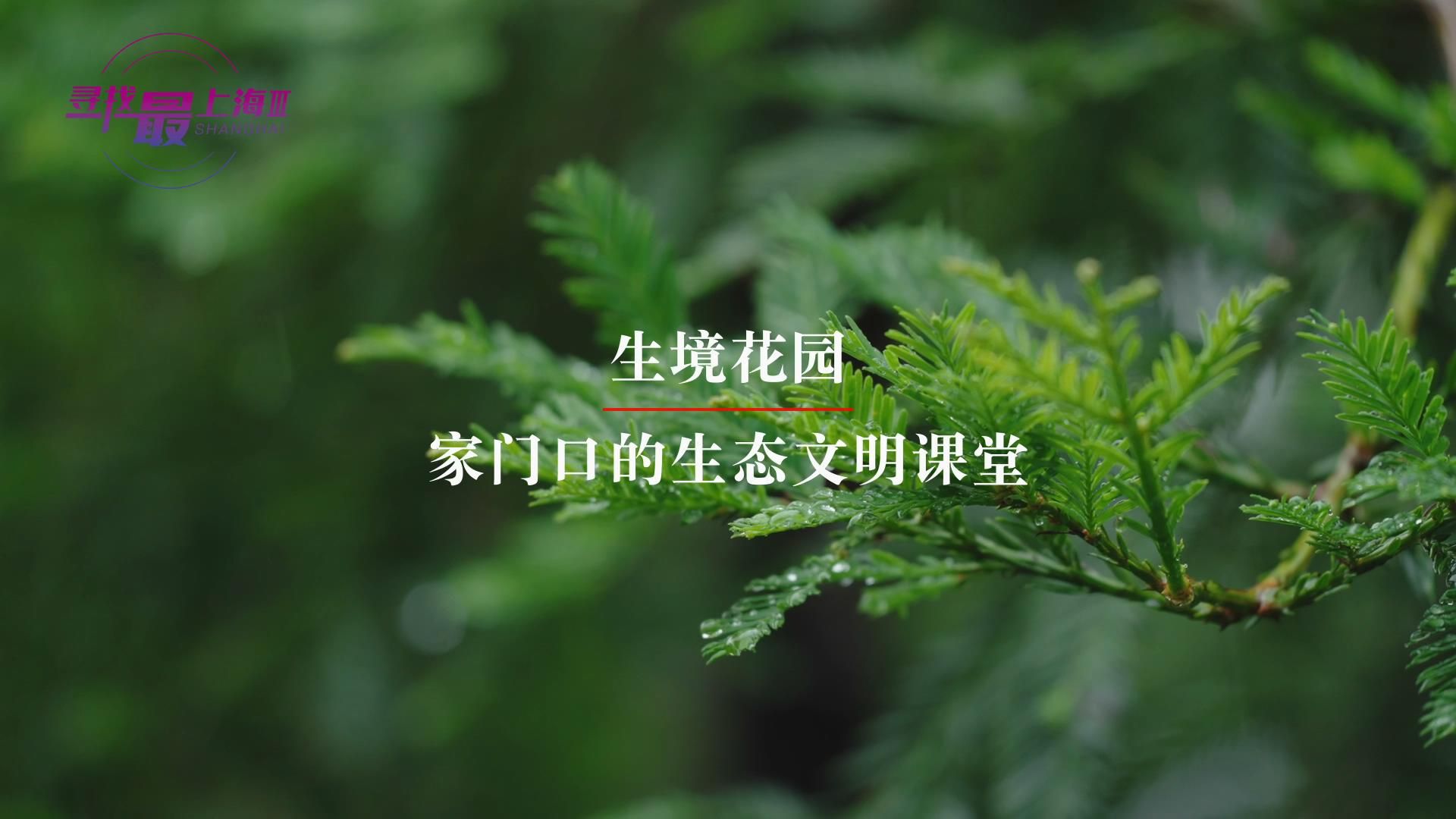 ...花园:家门口的生态文明课堂 | “最佳实践地” 城市人文创新案例微观察