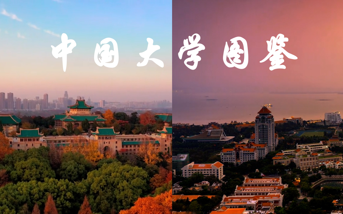 【中国大学图鉴】70+所大学燃向混剪,为未来的理想奋力拼搏!