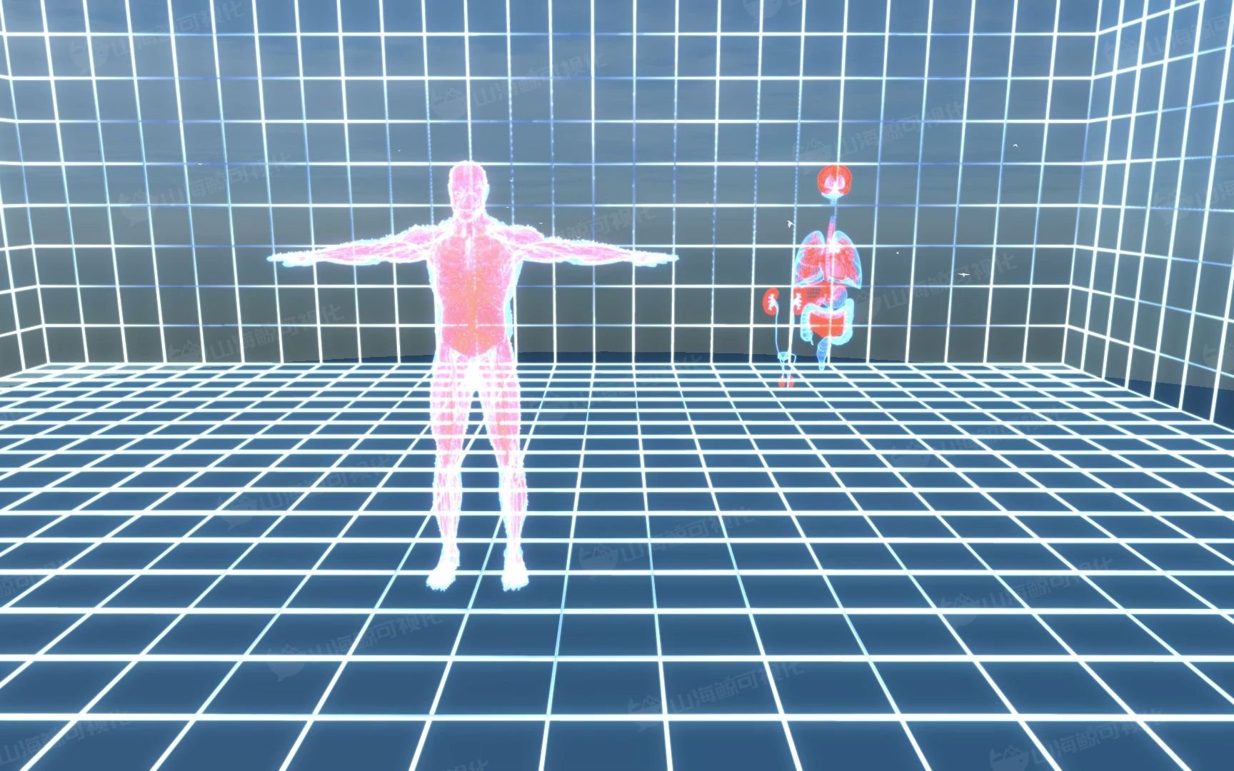 【山海鲸可视化模板】数字孪生 智慧医疗 3D模型 人体结构展示-医学...