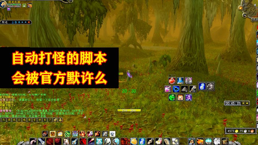 魔兽世界怀旧服:自动打怪的脚本会不会被允许长期存在