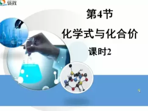 4.4.2 化学式与化合价 相对分子质量 计算物质组成 商品成分及其含量
