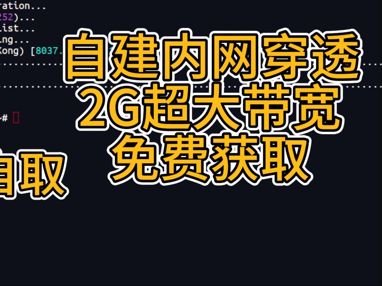 [公益]自建内网穿透 免费使用