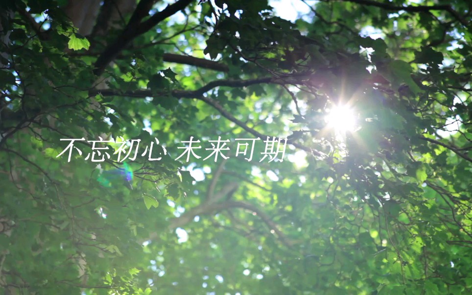 南宁师范大学美术与设计学院2019届设计类专业毕业视频