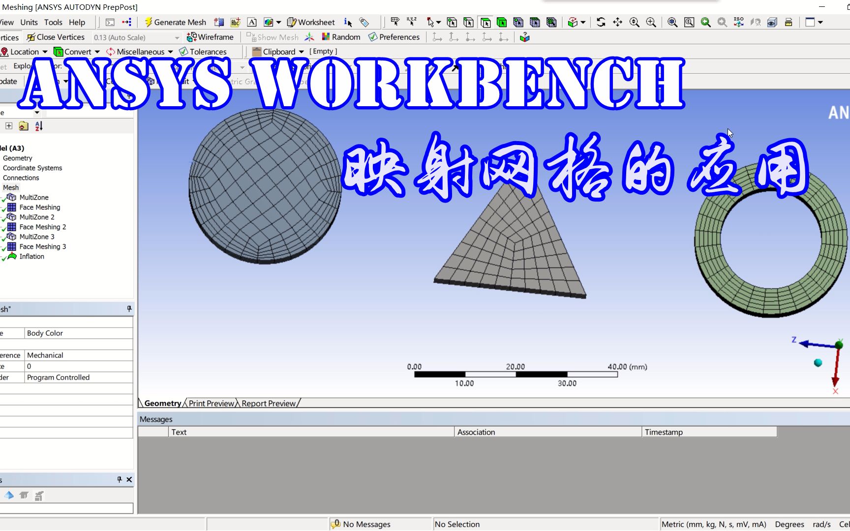 【网格划分】Ansys WorkBench 映射网格的应用
