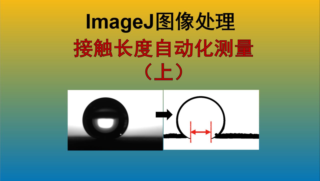 『超实用』ImageJ macro测量长度(上)