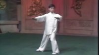 传统杨式太极拳第58-103式