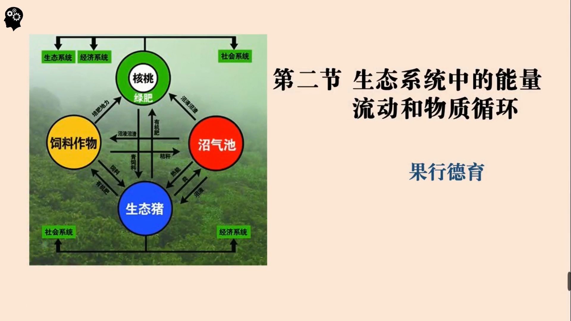 苏教版生物八年级上19.2生态系统中的能量流动和物质循环