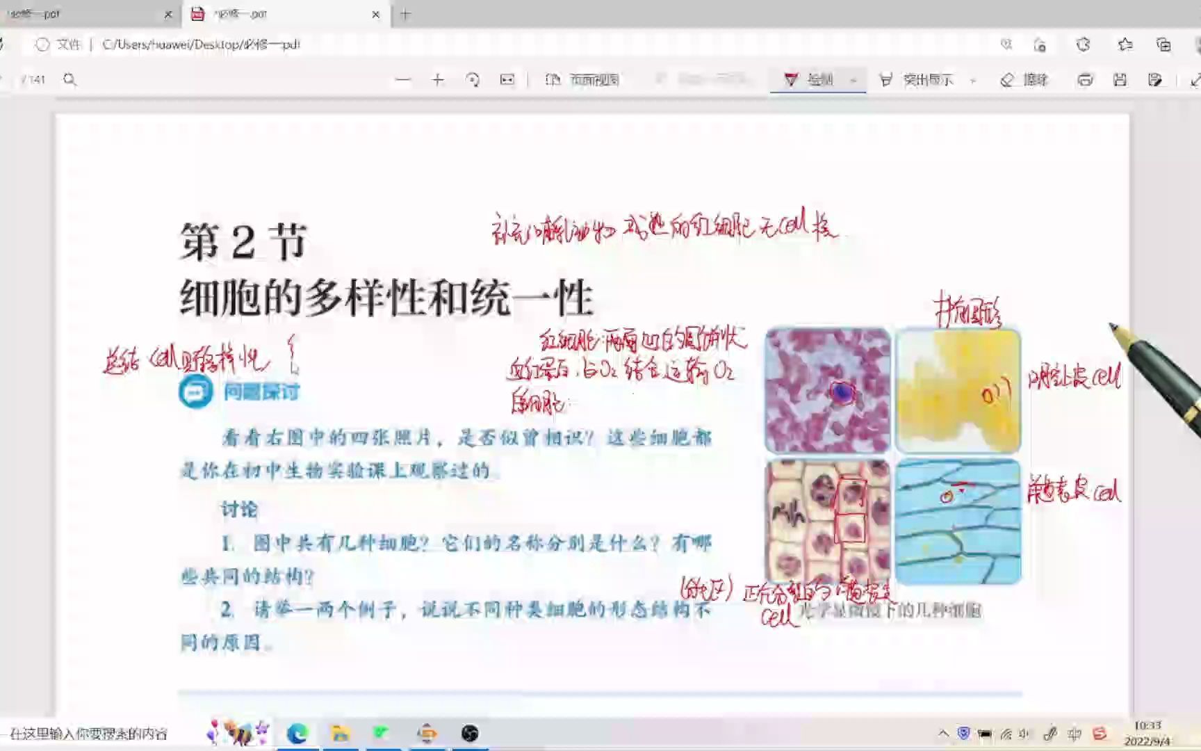 高倍显微镜的使用