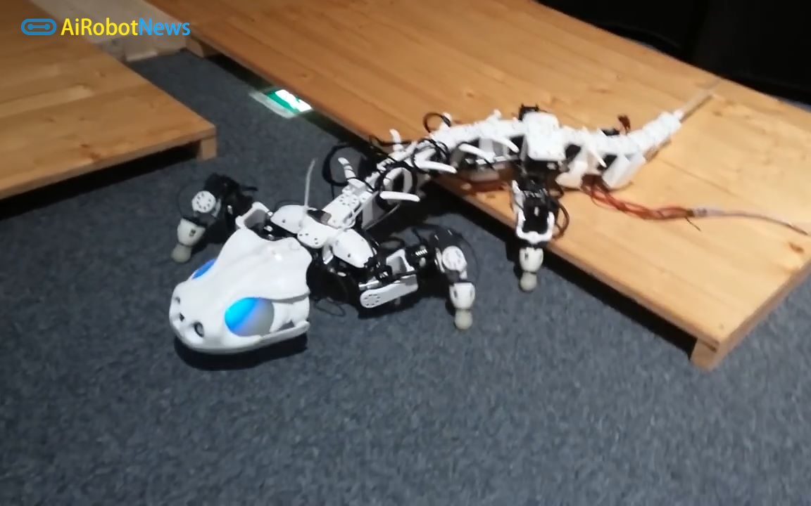 仿生火蜥蜴机器人Pleurobot