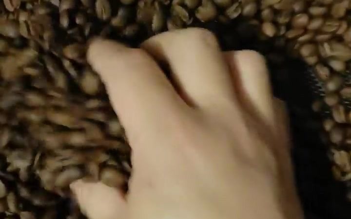 2.咖啡烘豆机全攻略——自制热风烘豆机