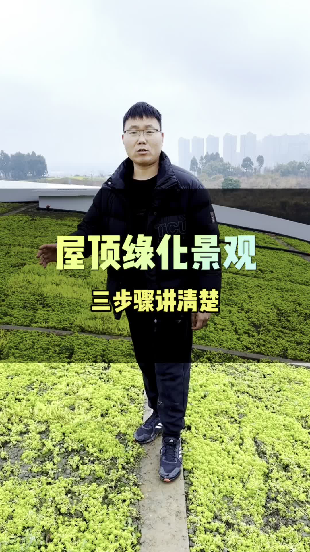 屋顶绿化景观制作,三步骤给你讲明白 #成都屋顶绿化景观 #屋顶绿化...